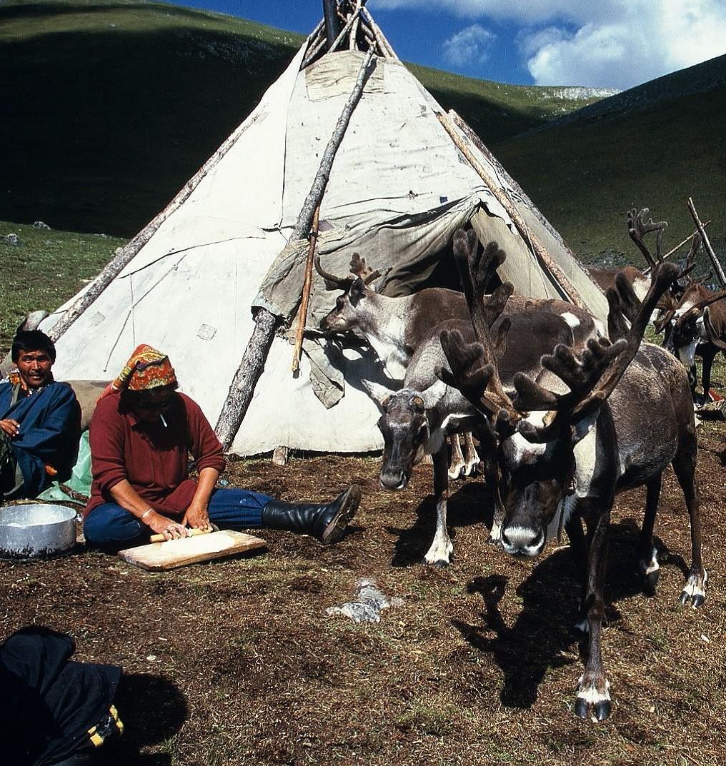 Reindeer people tours, tsaatans in Mongolia, mongolia travel | Travels ...